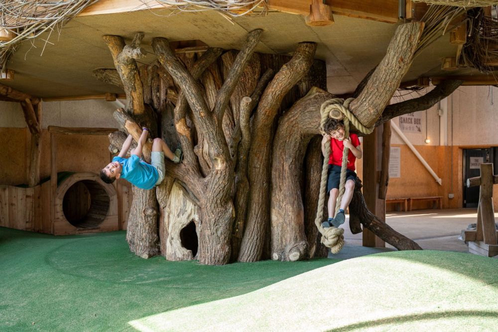 William's Den Indoor Playground, Outdoor Adventure Play and Woodlands