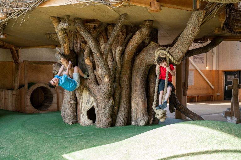 William's Den Indoor Playground, Outdoor Adventure Play and Woodlands
