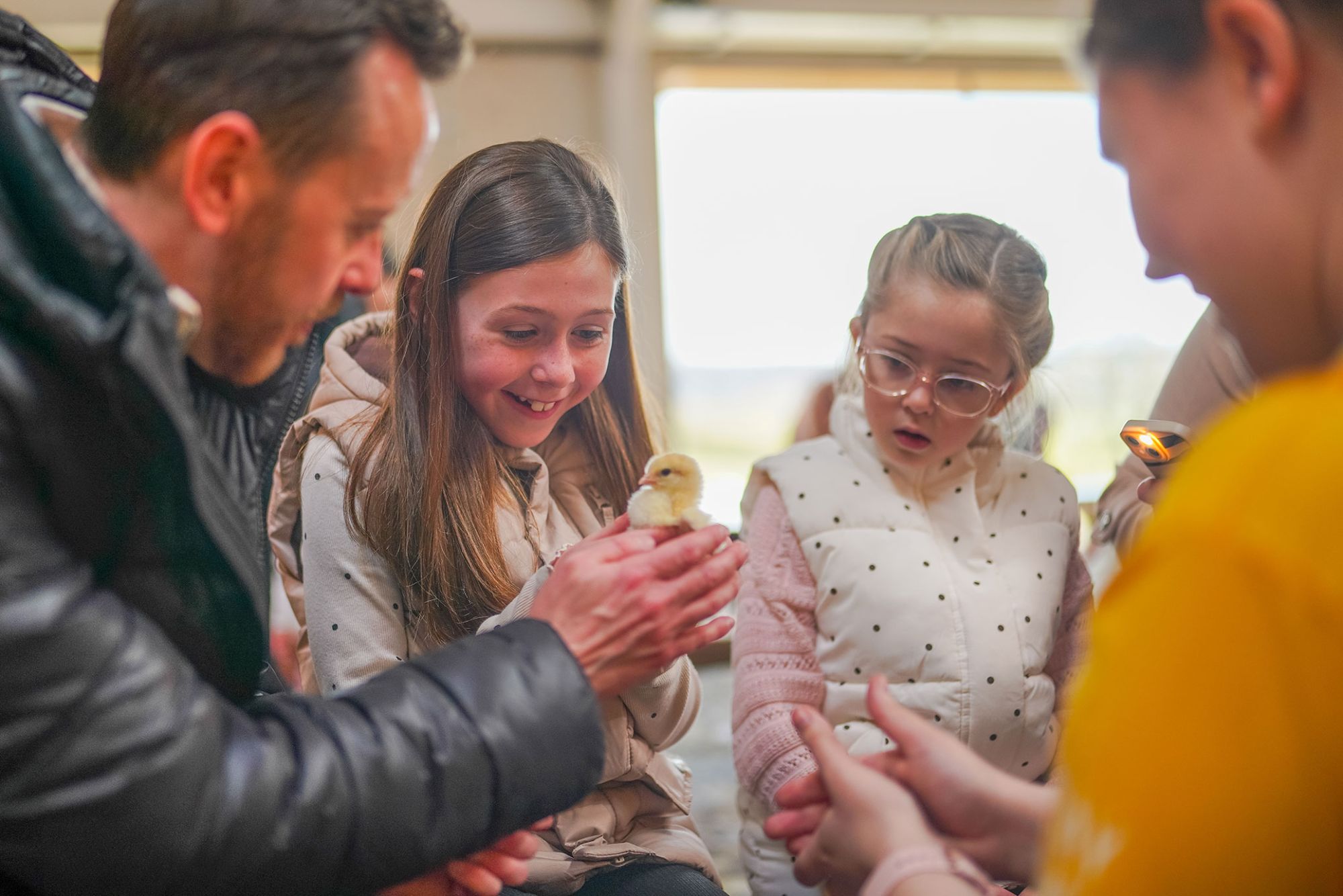 7 things to do in East Yorkshire this Easter holidays